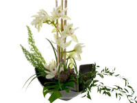 Elements of Floral Design | Principles of Flower Arrangement