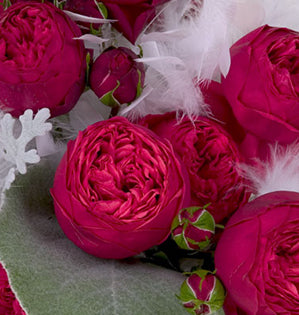 Vintage Valentine Roses