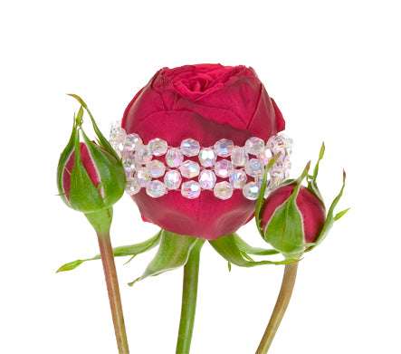 Flower Arrangement and Floral Design Accessories
