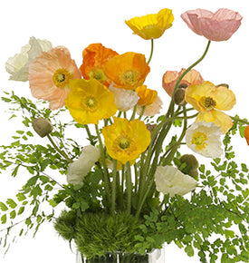 Floral Design Resources for Beginners & Professionals