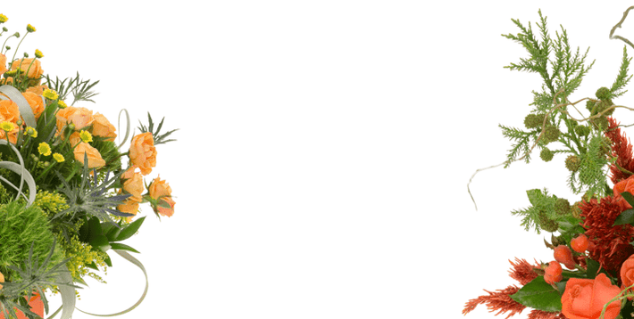 Floral Design Resources for Beginners & Professionals